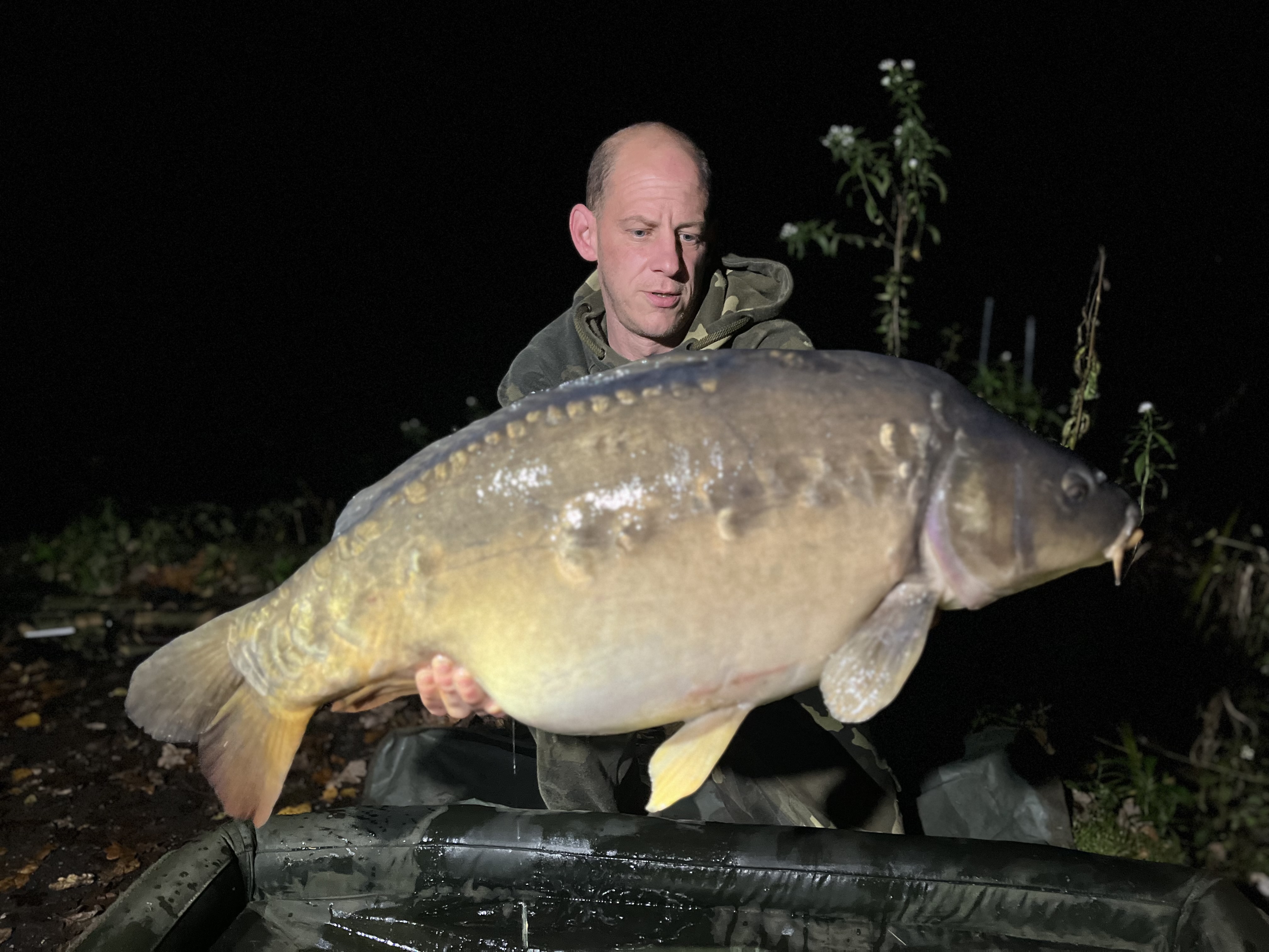 Banging session | Total Carp